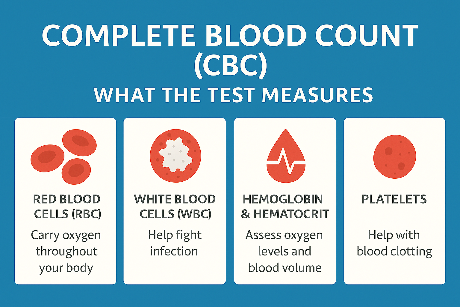 Complete Blood Count (CBC) Test: What It Is, Why It Matters, and How to ...